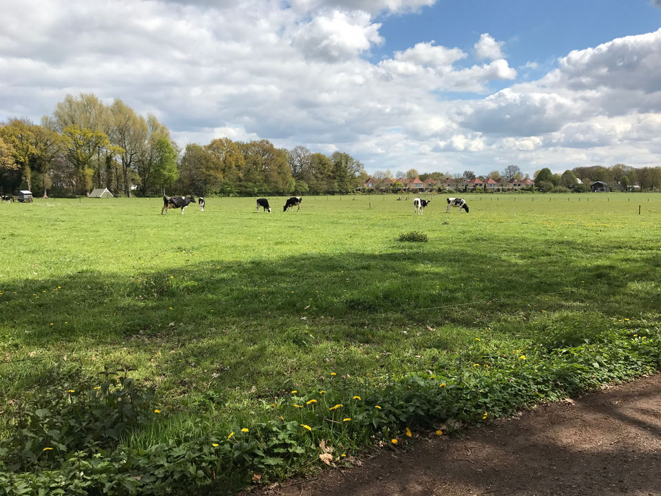 Twente - The Things Network Community